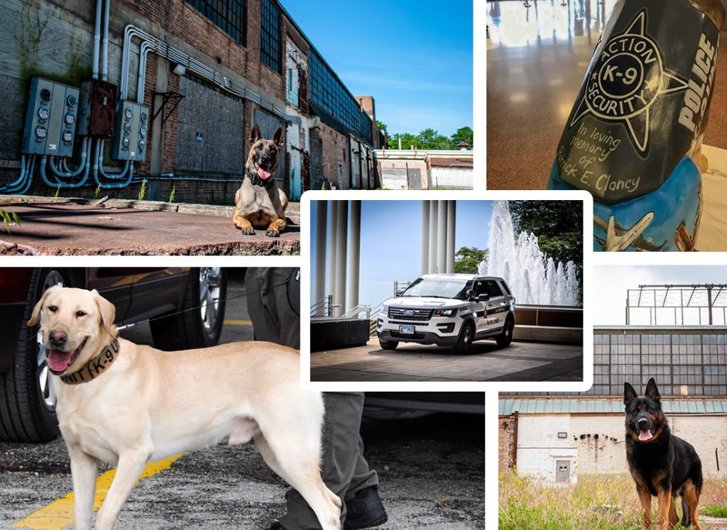 About Us | Action K-9 Security — The Leader in K-9 Security! | Chicago, IL